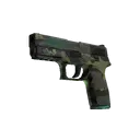 All Level 20 Case Case Skins in CS2 & CS:GO