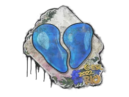 00 Nation | Rio 2022 Graffiti - CS2 Skins